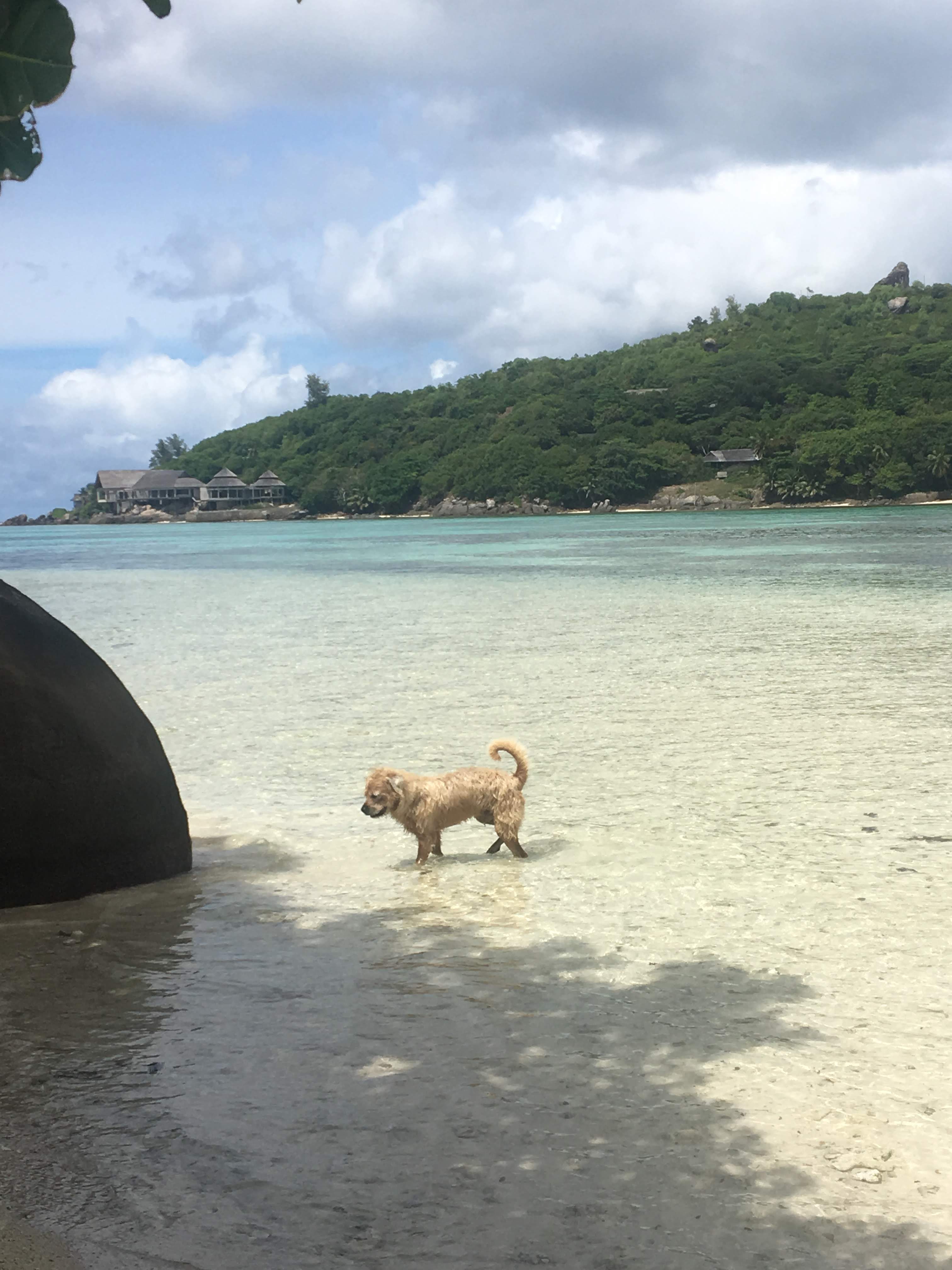 Seychelles – The Cocktail Tourist